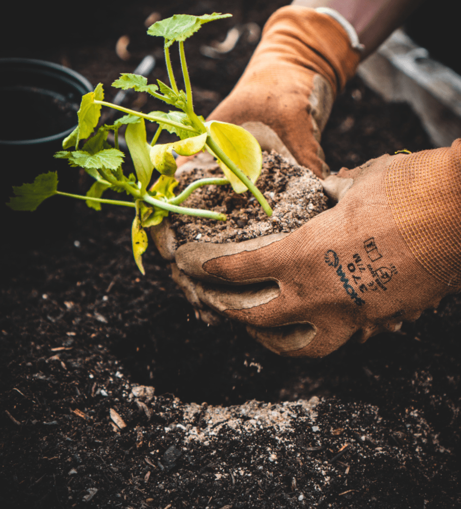 ALEPH CARES - Aleph Hospitality